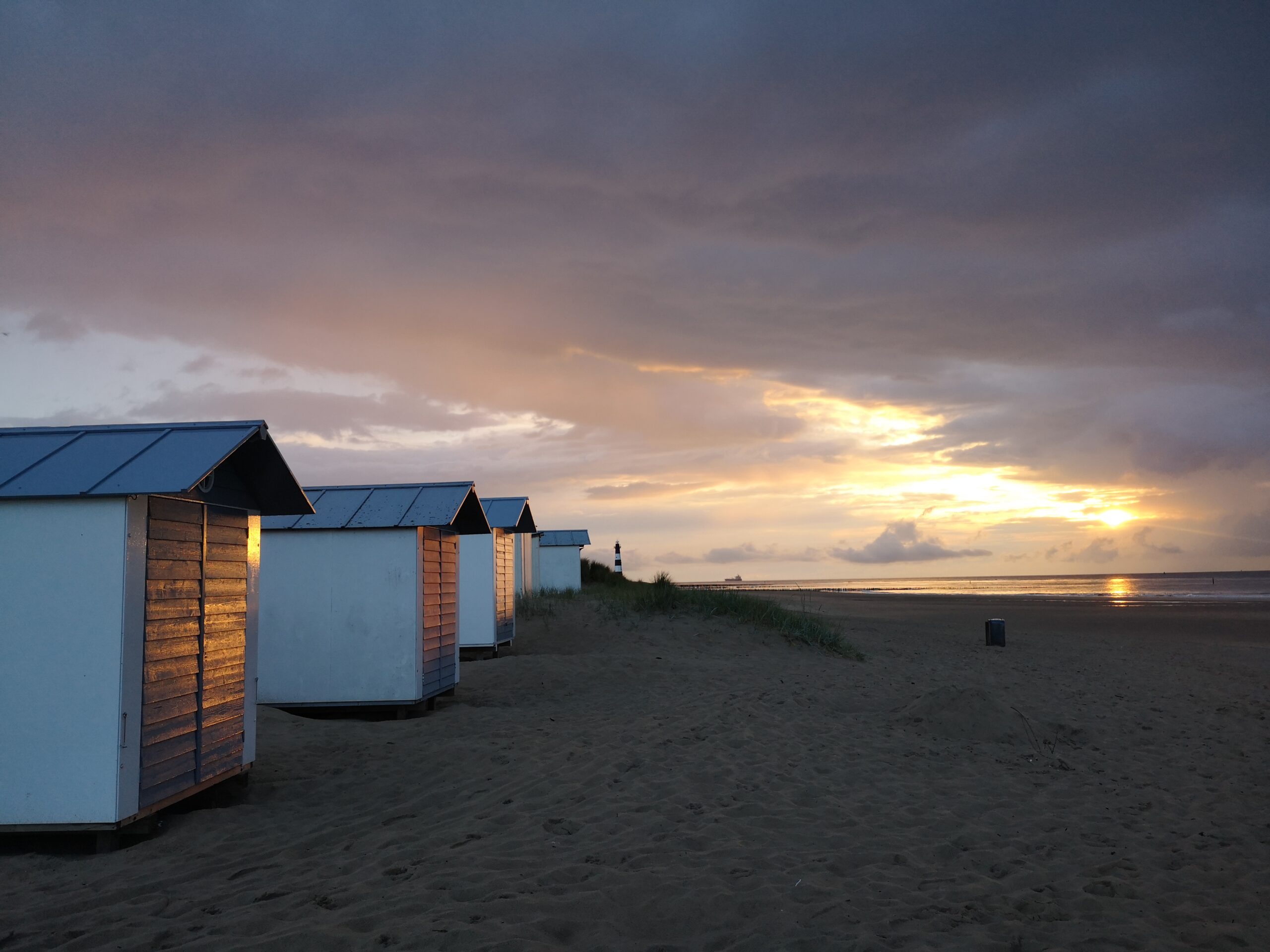 Aktivitäten - Strandpark Scheldeveste